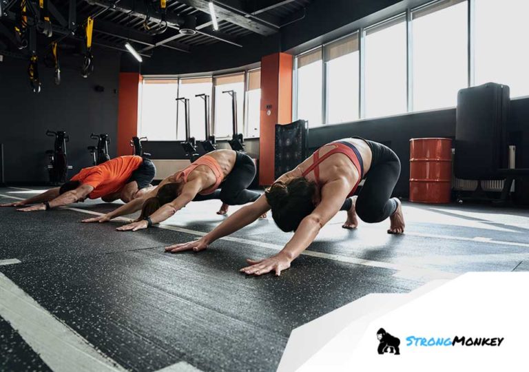 Mehr Beweglichkeit mit Animal Moves – Wecke das Tier in dir